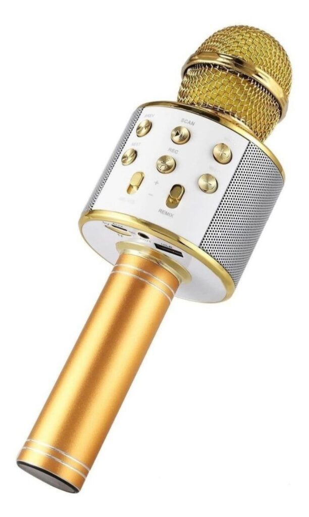 Microfone Karaoke Sem Fio Tomate MT-1036 Bluetooth – WZH Eletronico